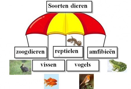 Soorten dieren - woorden.wiki.kennisnet.nl