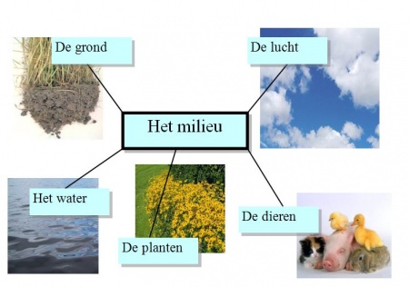 Water - woorden.wiki.kennisnet.nl